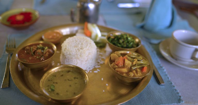 National Bird of Nepal, Danphe, Himalayan Monal, Largest Bird