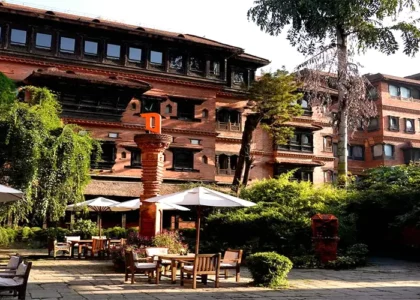 National Bird of Nepal, Danphe, Himalayan Monal, Largest Bird