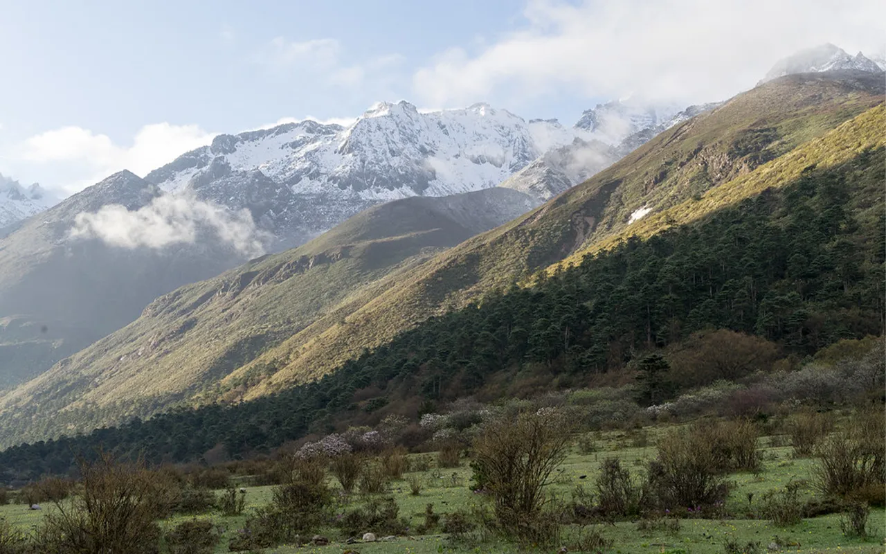 Amazing Short Bhutan Tour from Nepal – 4 Days Magical Escape